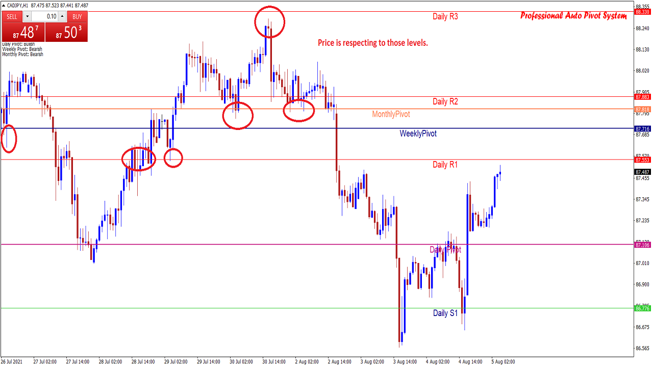Professional Auto Pivot Indicator Source Code | Usable For Forex, Stocks, Indices by fxraid